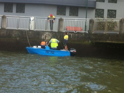 Brisbane Boat Hire Commercial - Brisbane Boat Hire